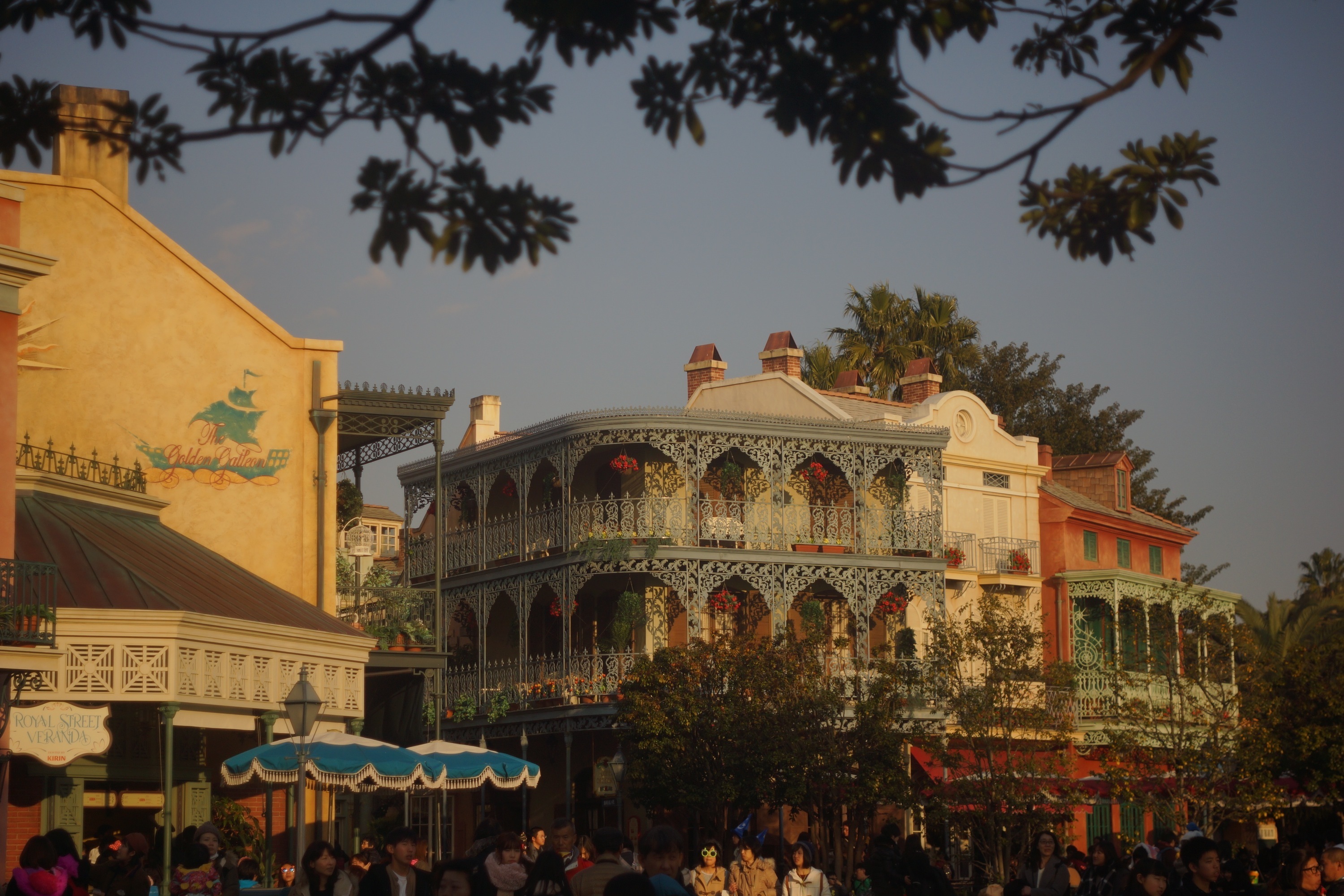 SOM BERTHIOT PARIS FLOR 1:2.8 F=50 + NEX-7（続き）: 少年★レンズ