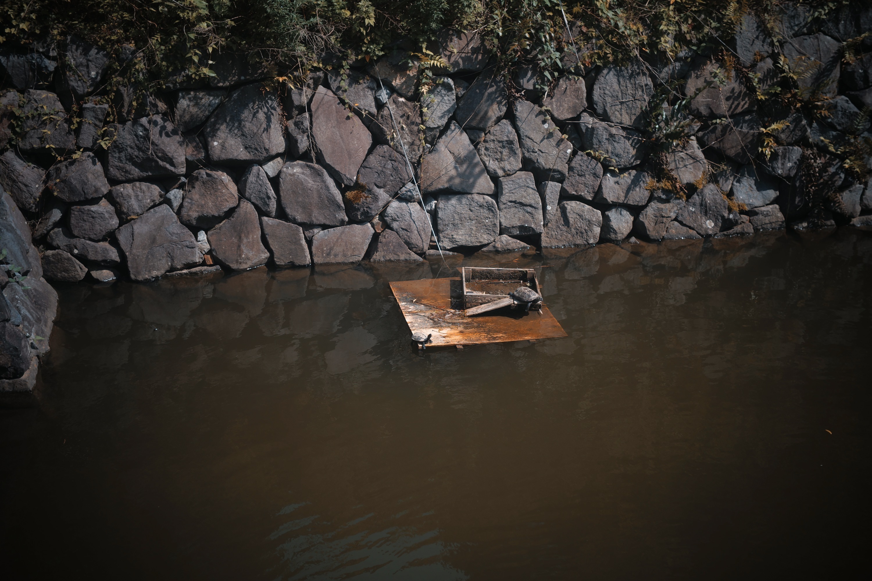 『千葉県立 房総のむら』SOM BERTHIOT FLOR 2.8/50 + SIGMA fp: 少年★レンズ